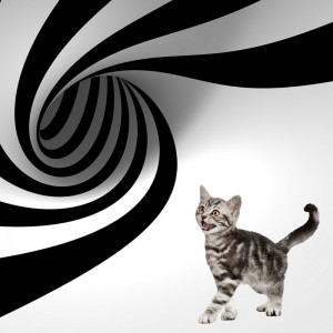 How to Build a Marketing Funnel Your Donors Will Love - Socialbrite